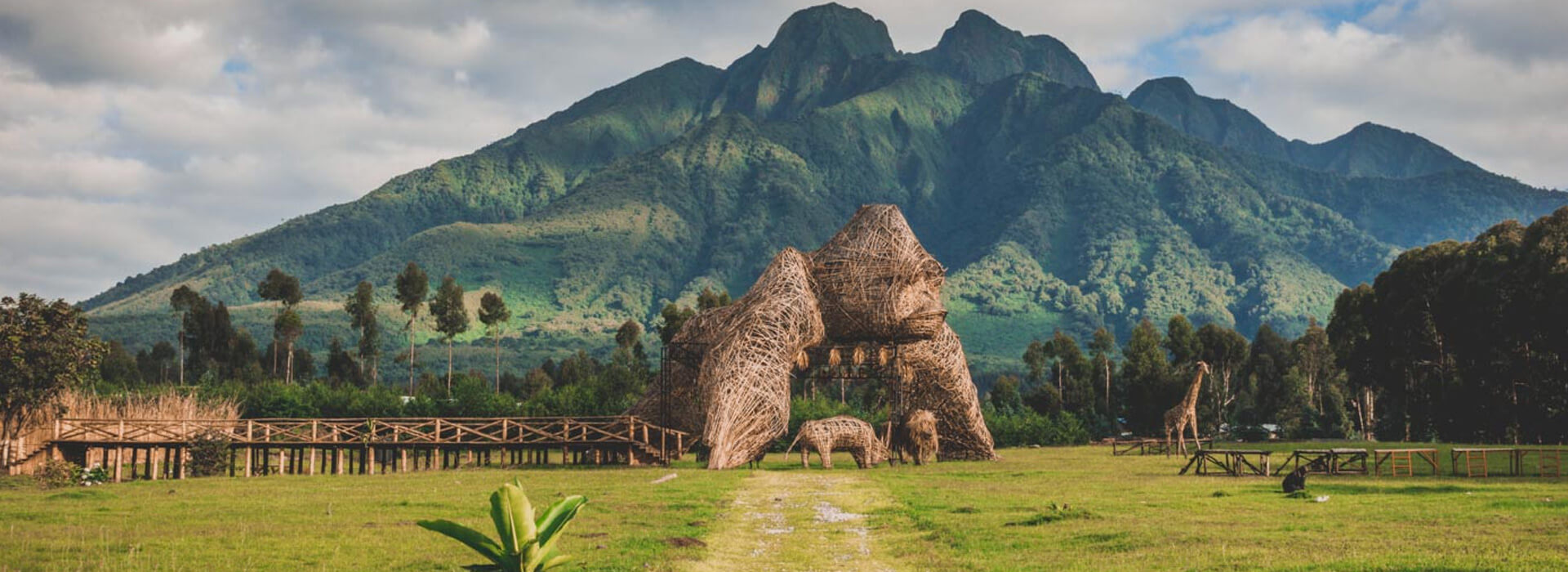 10 Best Tour Companies in Rwanda 2022 - Travel Moran