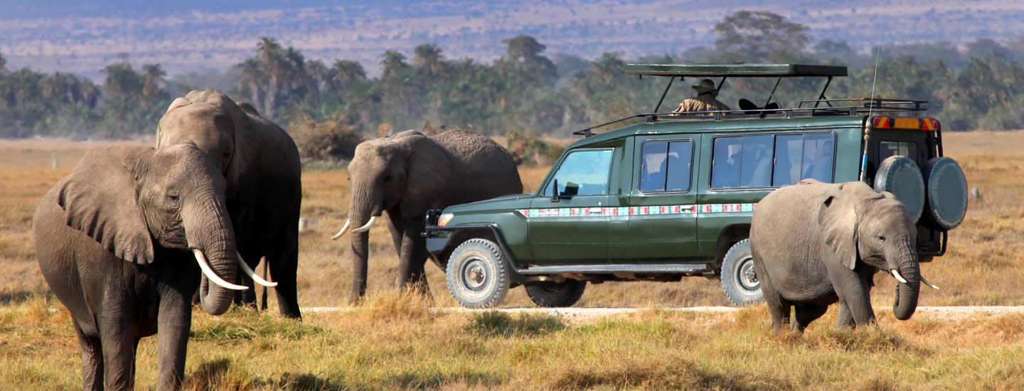 10 Best Tour Companies in Kenya - Travel Moran