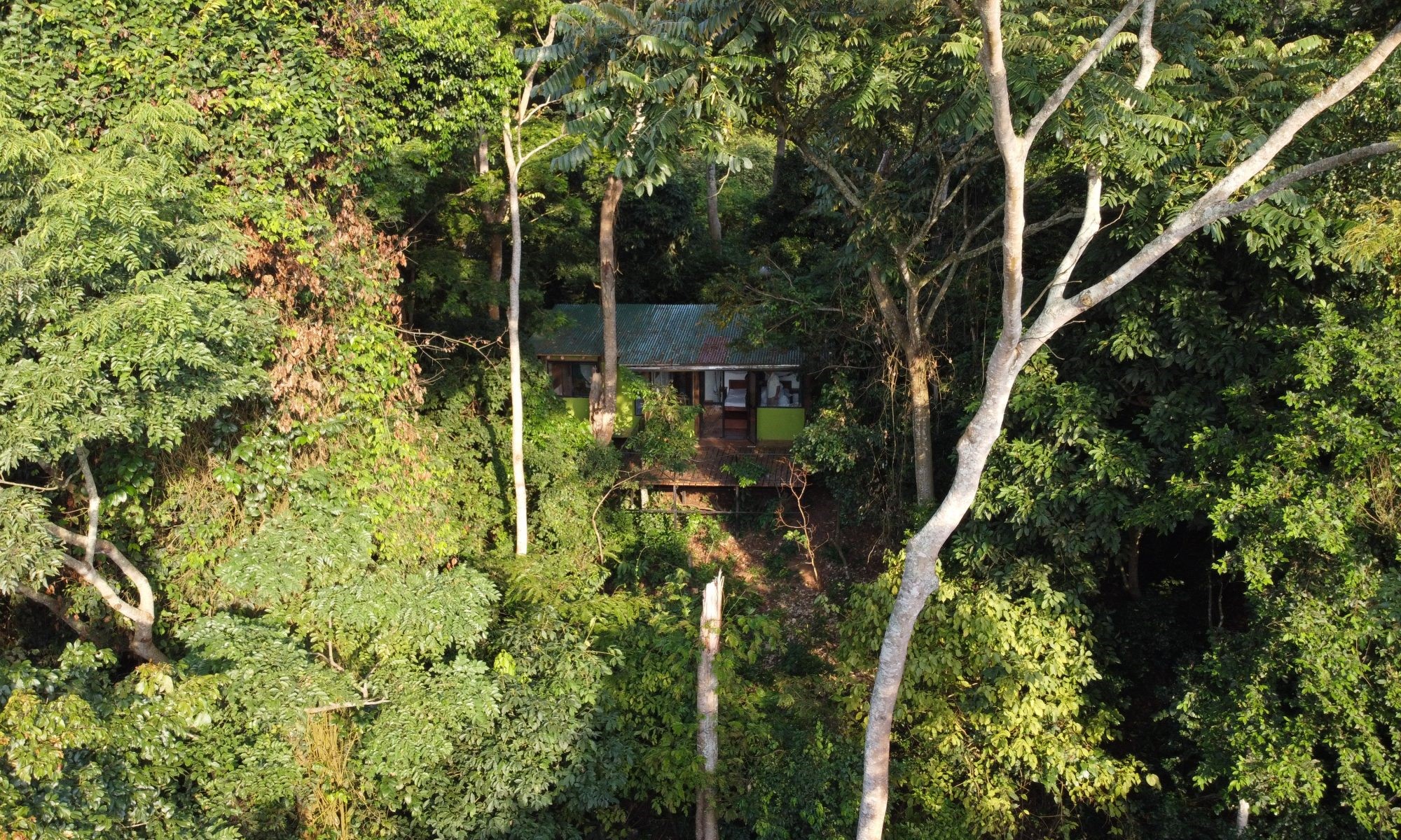 A Week in Uganda: From Forest Retreats to Kampala’s Electric Nightlife ...